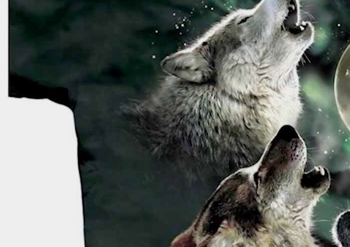 Souvenir & Gift Shops - Online Shopping | Banff